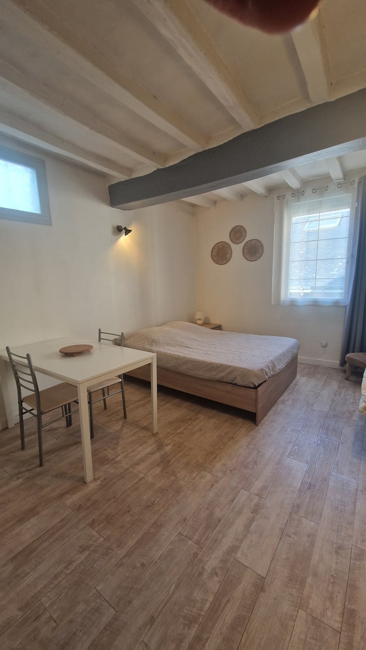 Le Petit Quai#studio#site Historique - Chinon