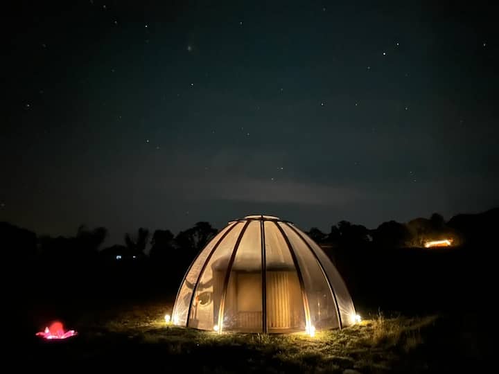 Stargazing Dome At Hartridge Springs - Honiton