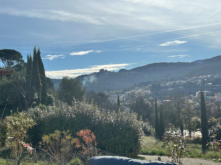 Villa Lésina Bed & Breakfast - Apt