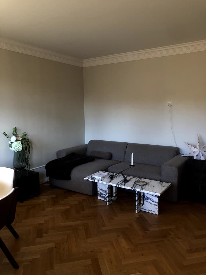 Beautiful Classic Copenhagen Apartment W/balcony - Copenhagen