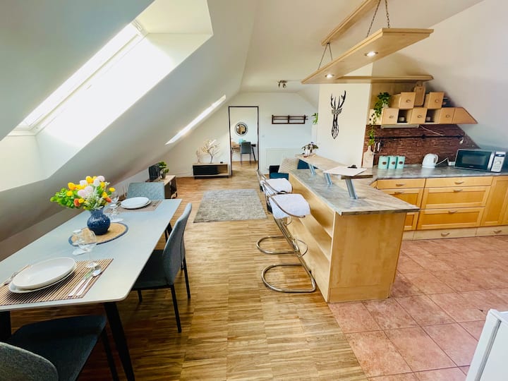 Cozy Apartment In The City Centre - Jihlava - Jihlava