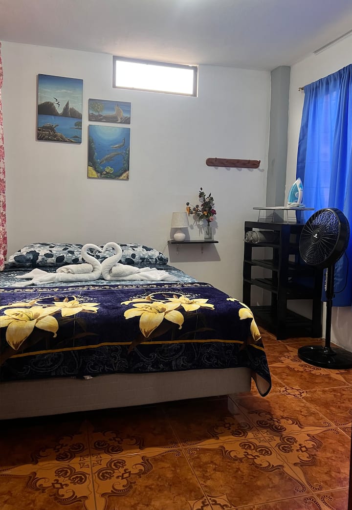 Acogedor Departamento Privado En Puerto Ayora - Puerto Ayora