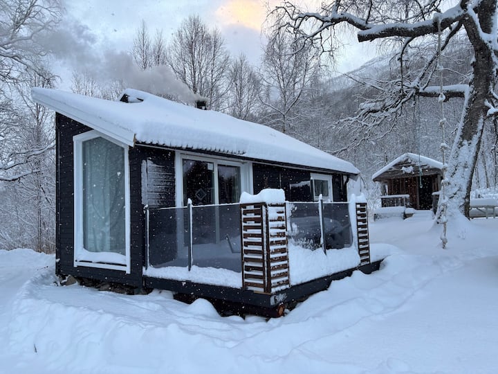 Natur, Ro Og Hyttekos Under Nordlyset. - Norway