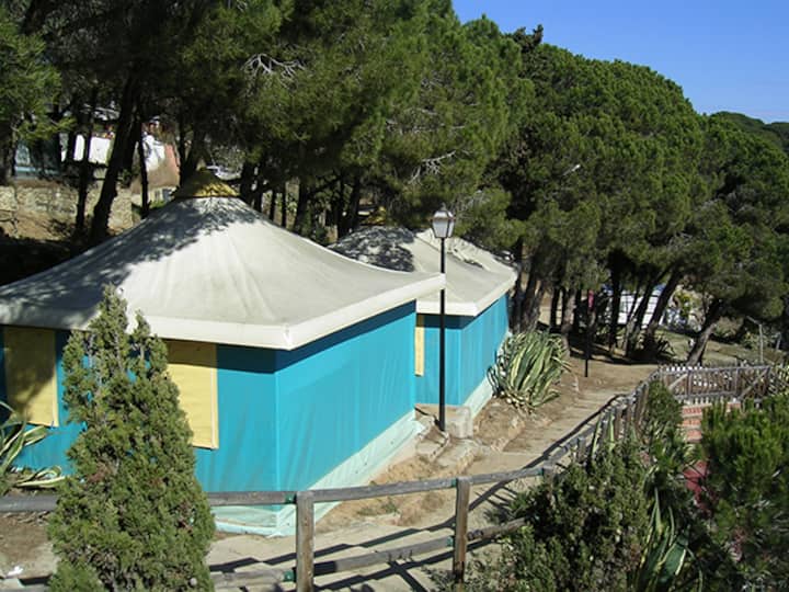 Tienda Trigano - Canet de Mar