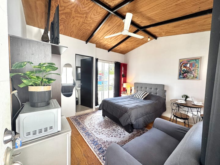 Bright Studio With Air Conditioning 22-8 - Mexico City