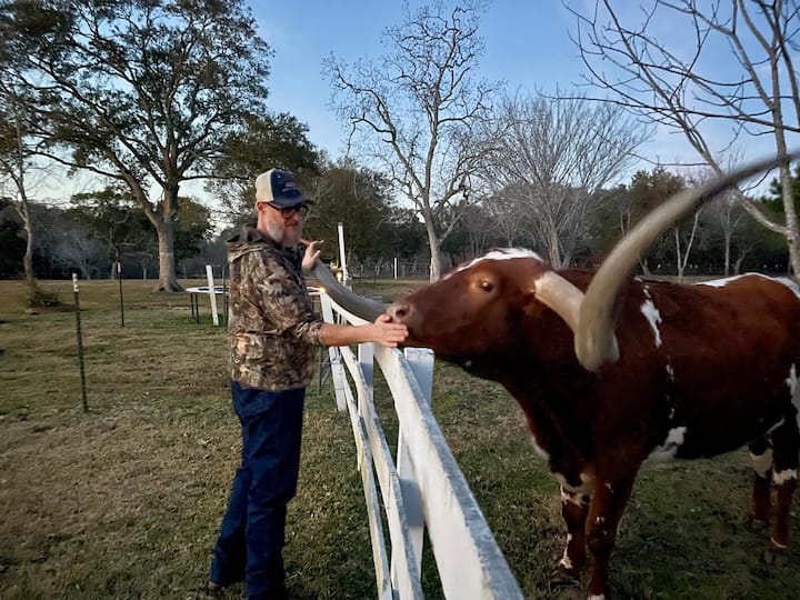 Texas Ranch Getaway | Horses, Longhorns & Quiet - United States