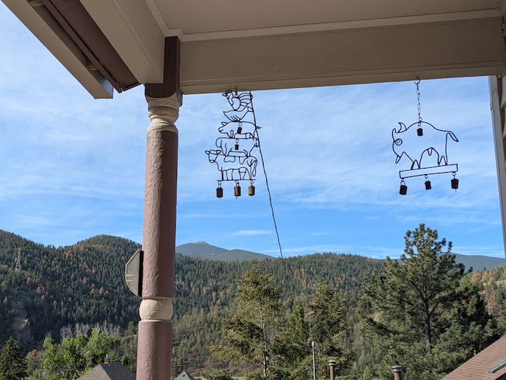 Mtn Cabin · Ski · Raft · Hot Springs Nearby - Idaho Springs, CO