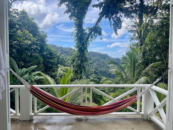 Birder’s Paradise With Rainforest Views - Dominica