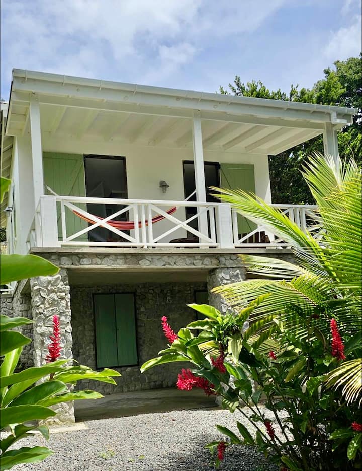 Birder’s Paradise With Rainforest Views - Dominica