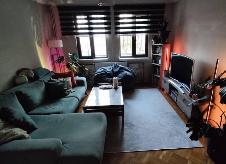 Müstakil Villada Tek Kişilik Yatağı Bulunan 1 Oda - Koru