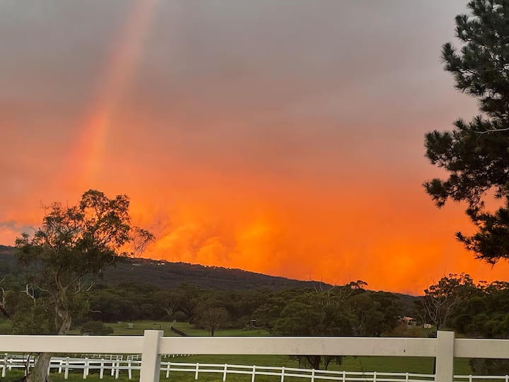 Immerse Yourself Into Nature Glam Cabin - Central Coast