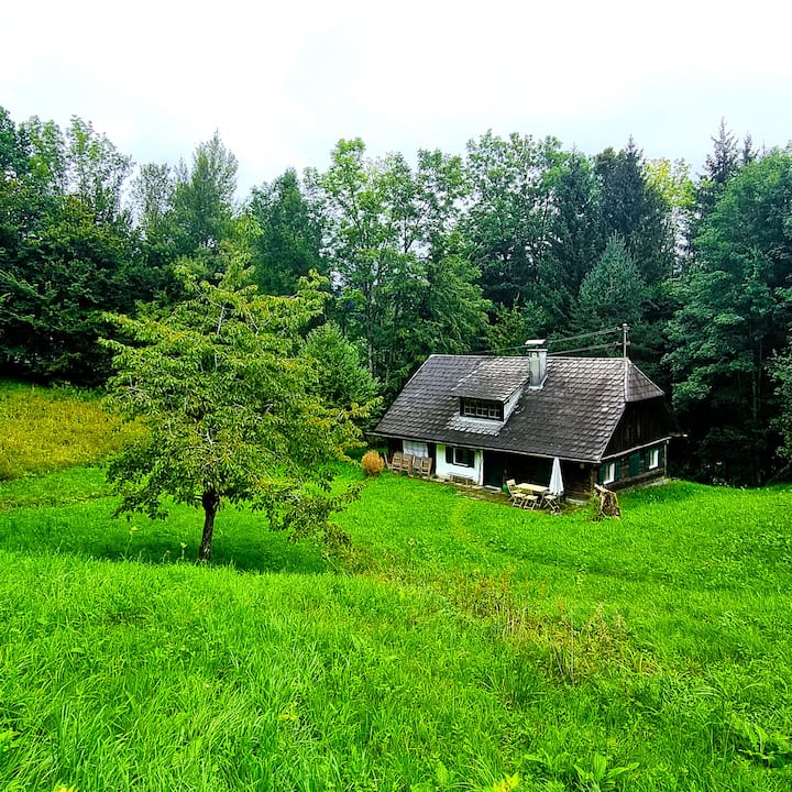 Charmante Salzkammergut-hütte - Wiesen, Wald & See - Attersee