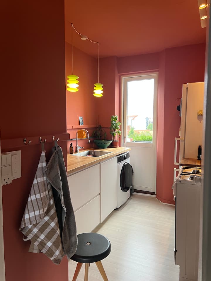Small Comfortable One Bedroom Apartment - Copenhagen