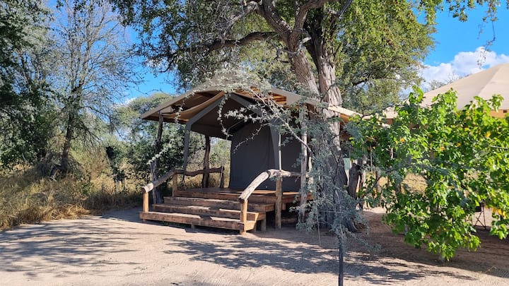 Sleep Under Orion - Starglazing Glamping - Botswana