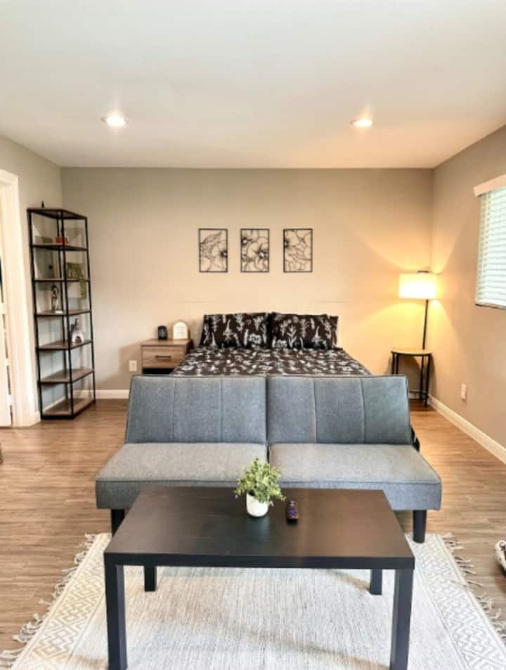 Effortlessly Radiant Studio @ Convention Center - Irving, TX