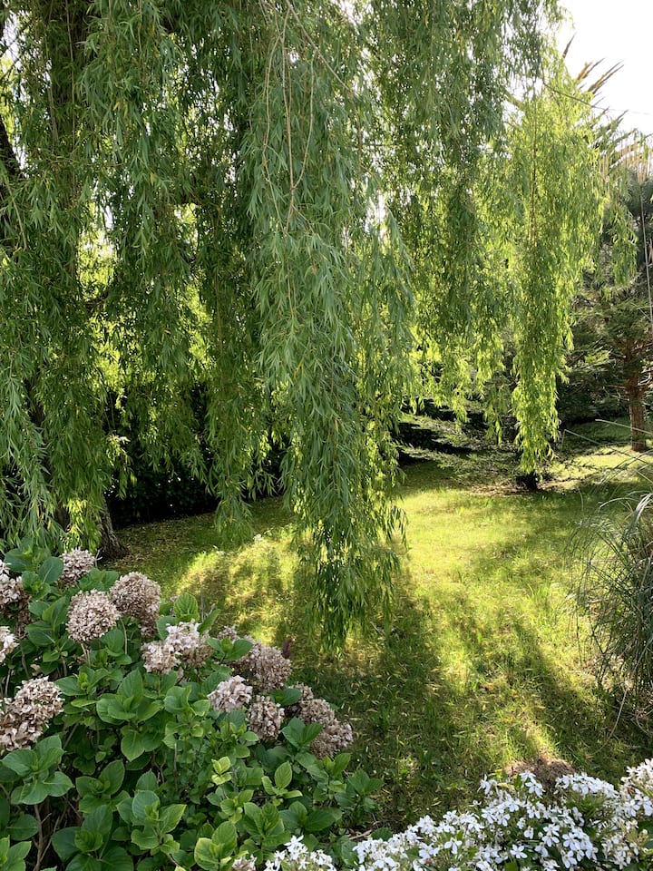 Plage Et Centre-ville, Villa Confortable Et Jardin - Cabourg