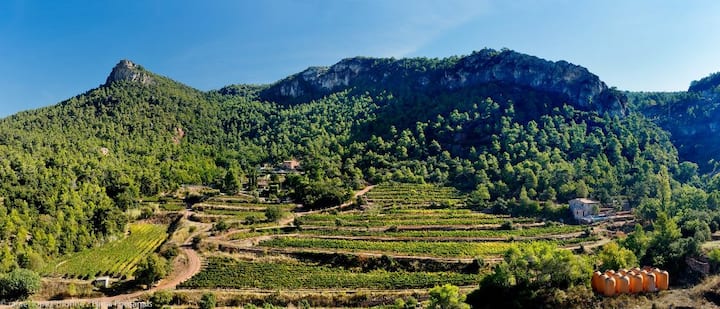 Stay On A Catalan Vinyard With Private Pool - DO Montsant