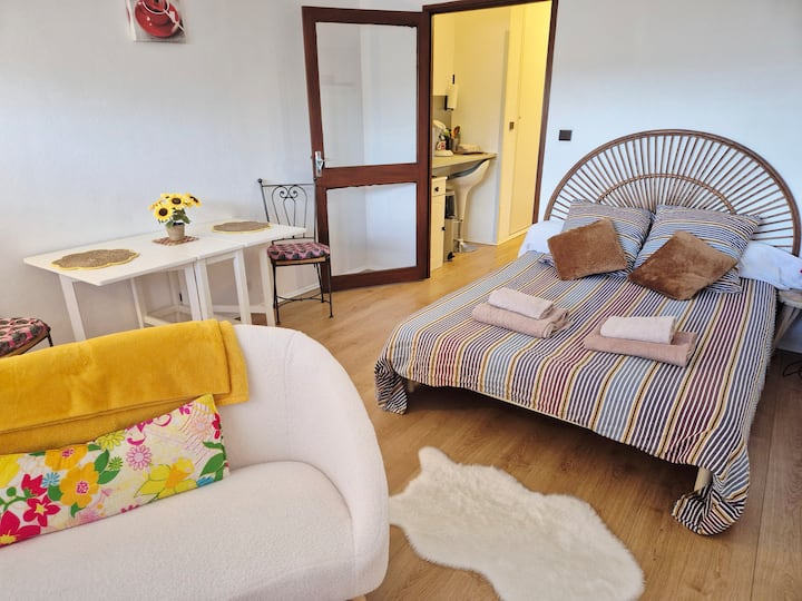 Studio Balcon Chaleureux Lumineux - Saint-Gaudens