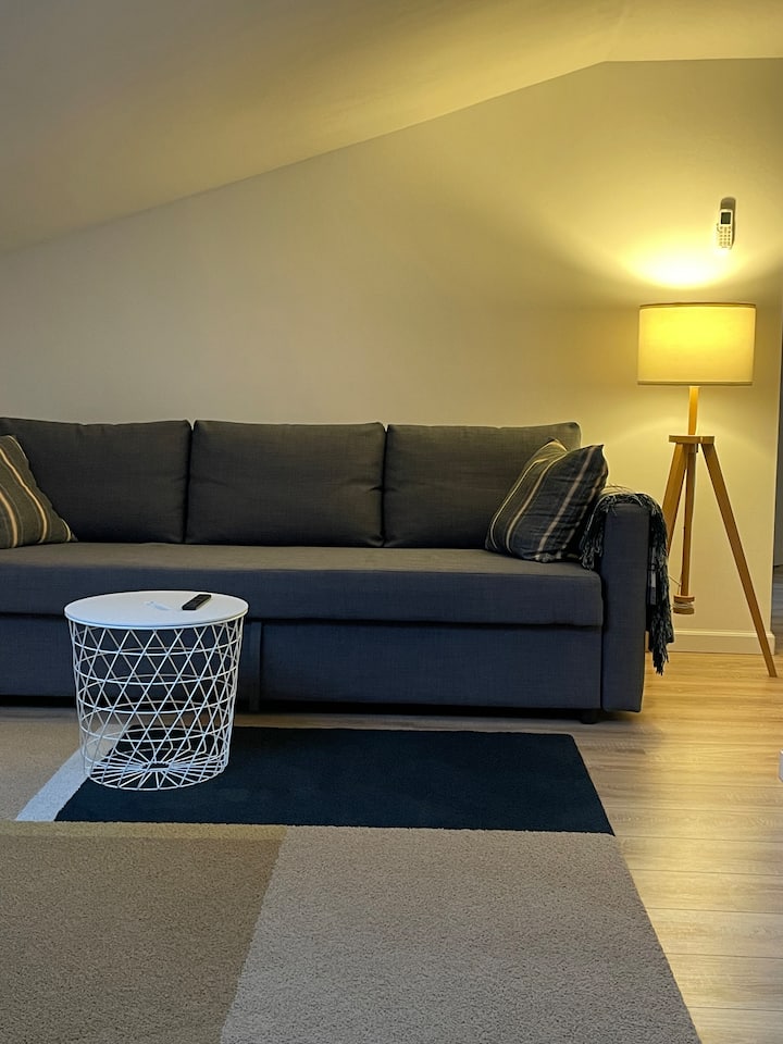 All Seasons Apartments Lasko Mansarda - Celje