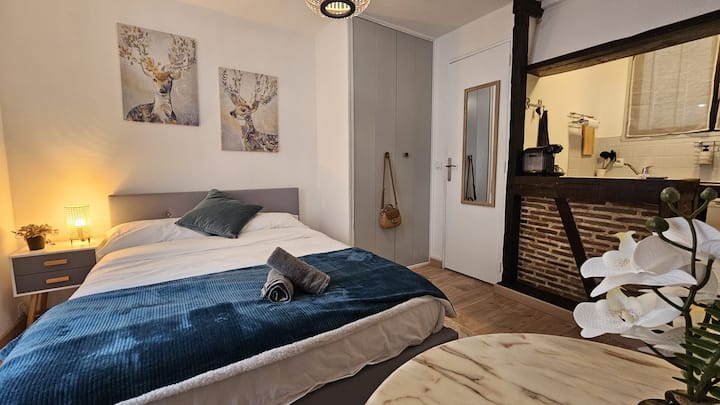 Le Remède, Studio Calme Proche Cathédrale - Orléans