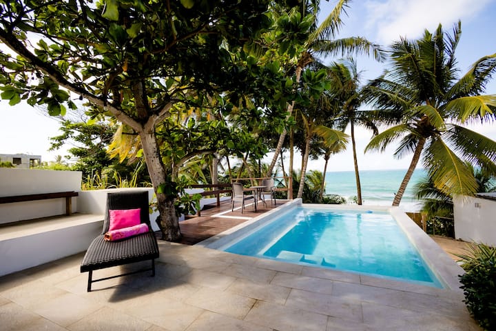 Rose Nest At The Beach - Arecibo