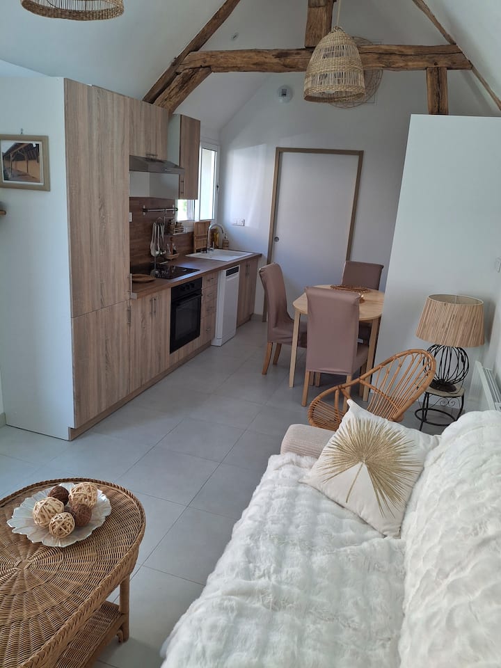 Le Nid Douillé 
Maison 30 Min Du Zoo Beauval - Châtillon-sur-Indre