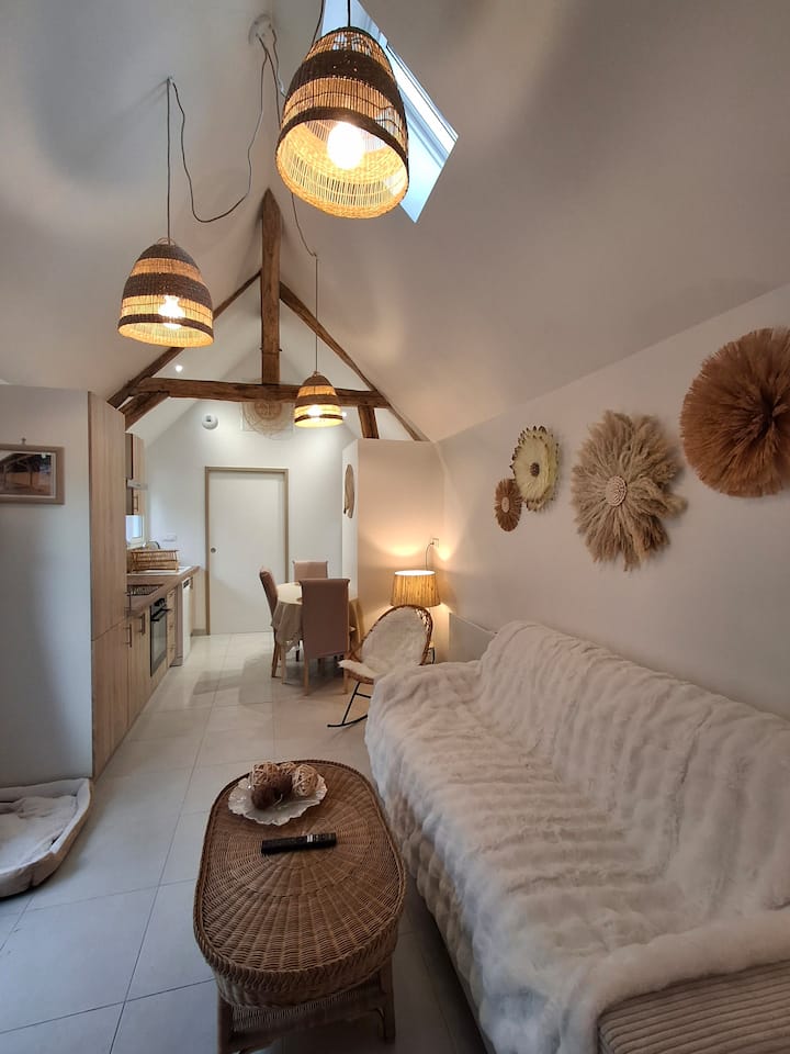 Le Nid Douillet
Maison 30 Min Du Zoo Beauval - Châtillon-sur-Indre