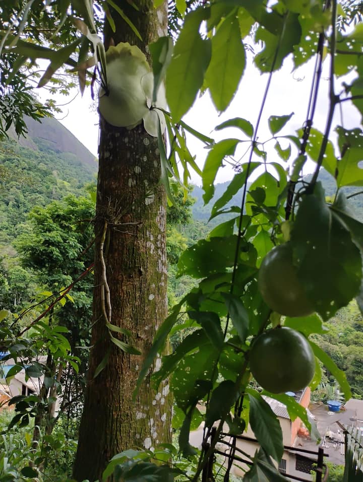Casa Simples Em Meio A Natureza - Angra dos Reis