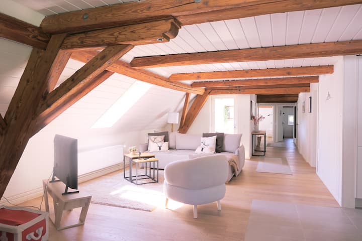 Little Nest-loft Zwischen Seen Schlössern, Hund - Aarau
