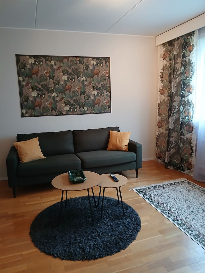 Tilava Condo Huoneisto - Pori