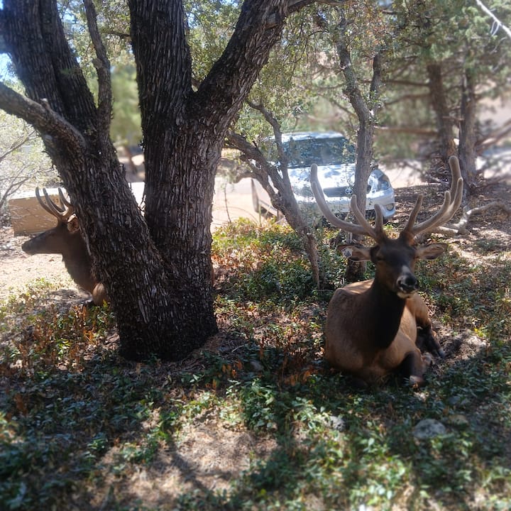 Elk Eden - Payson, AZ