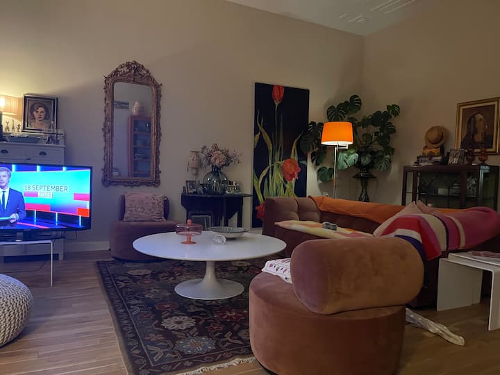 Appartement Centraal In Het Centrum Van Leiden. - Leiden