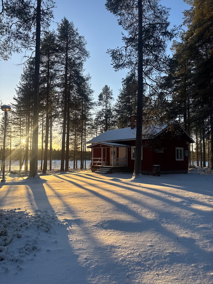 Puhtain Ilma Kuorikki-wilderness - Posio
