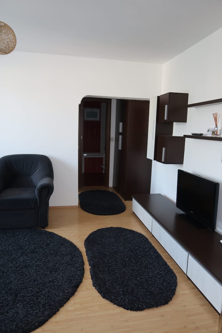 Apartament Centrul Vechi-english Park - Craiova