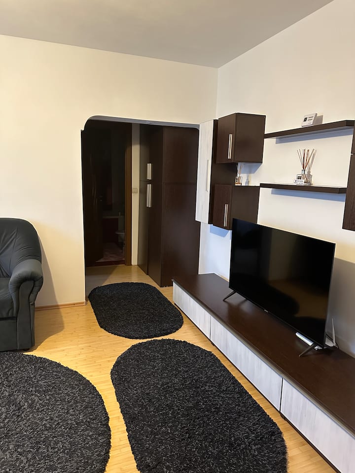 Apartament Centrul Vechi - Craiova