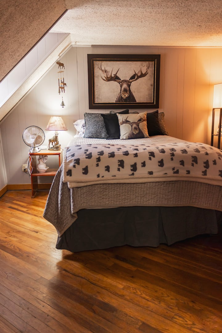 Moose Room | Rustic Colorado Lodge Escape - Silverton, CO