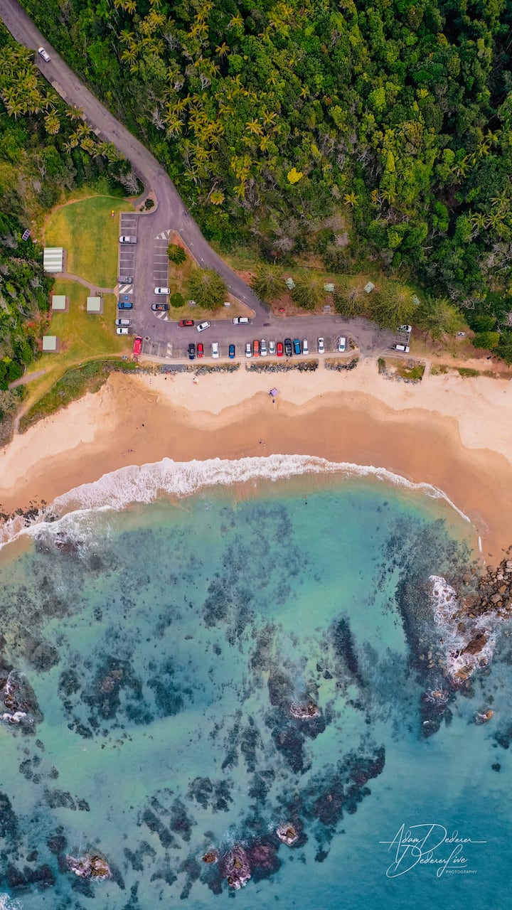 Designer Retreat - Huge Backyard & Fruit Trees - Port Macquarie