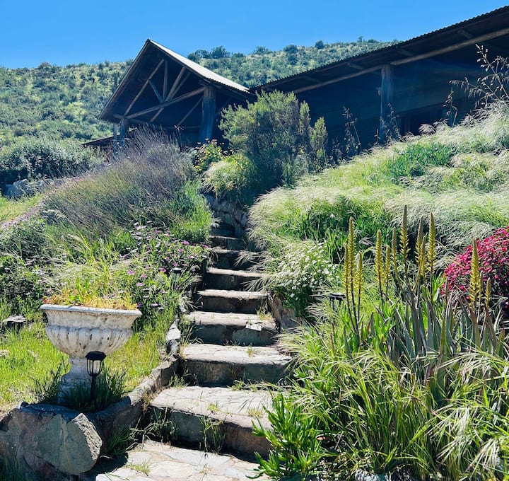 Parcela Alto Lonquen - Buin