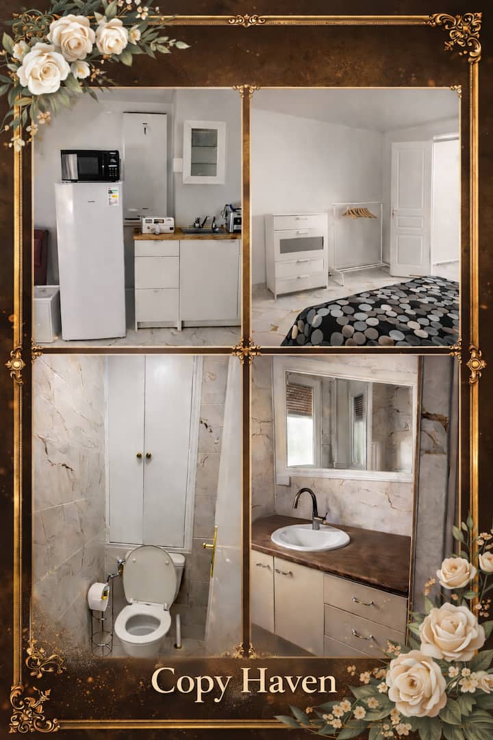 Copy Haven~aéroport Cdg~paris~parc Expo~rer~disney - Villepinte