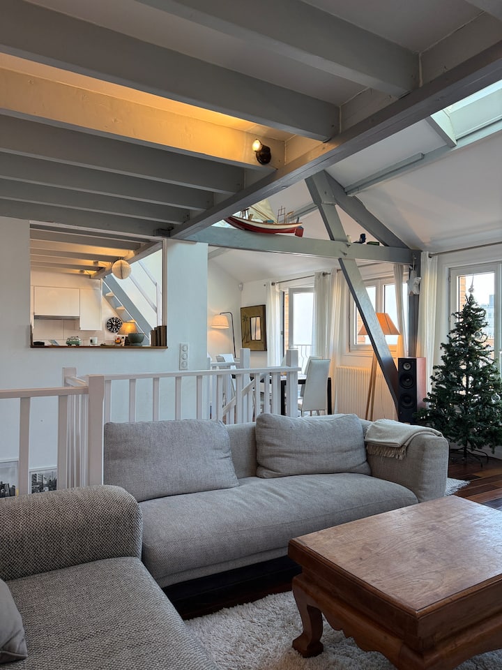 Grand Duplex Lumineux Avec Mezzanine (Triplex) - ibis Paris Boulogne Billancourt