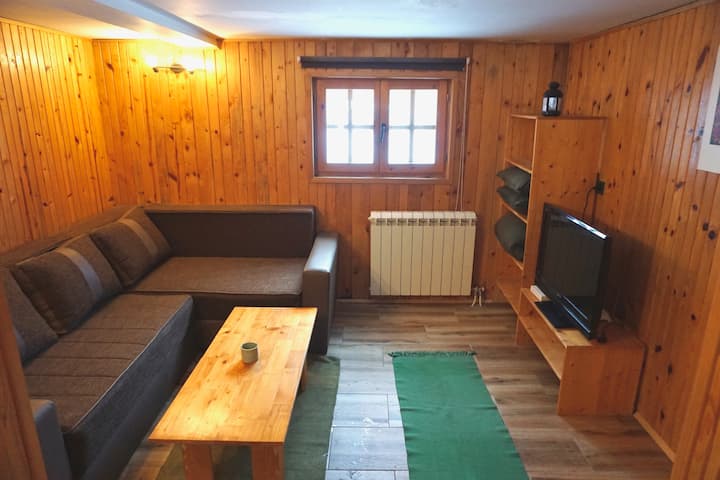 Apartment On Kopaonik Mountain - Kopaonik