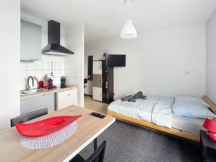 Apparement Cosy En Plein Centre-ville - Mulhouse