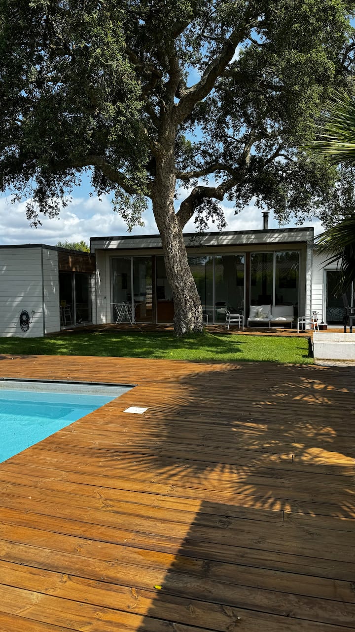 Villa Moderne Piscine Clim, 6 Pers, Proche Plages - Seignosse