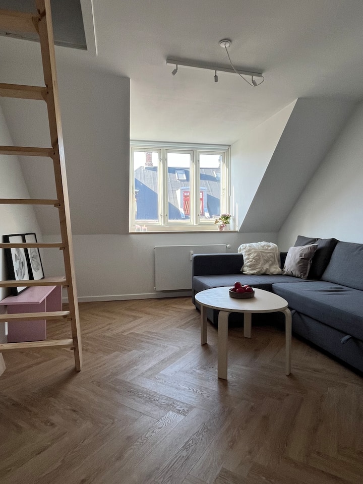 Skøn Lejlighed I Midten Af Aarhus - Aarhus