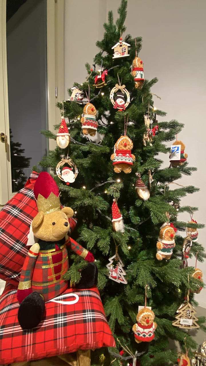 Erasmus Home Typical Sicilian Court-full Apartment - Catania