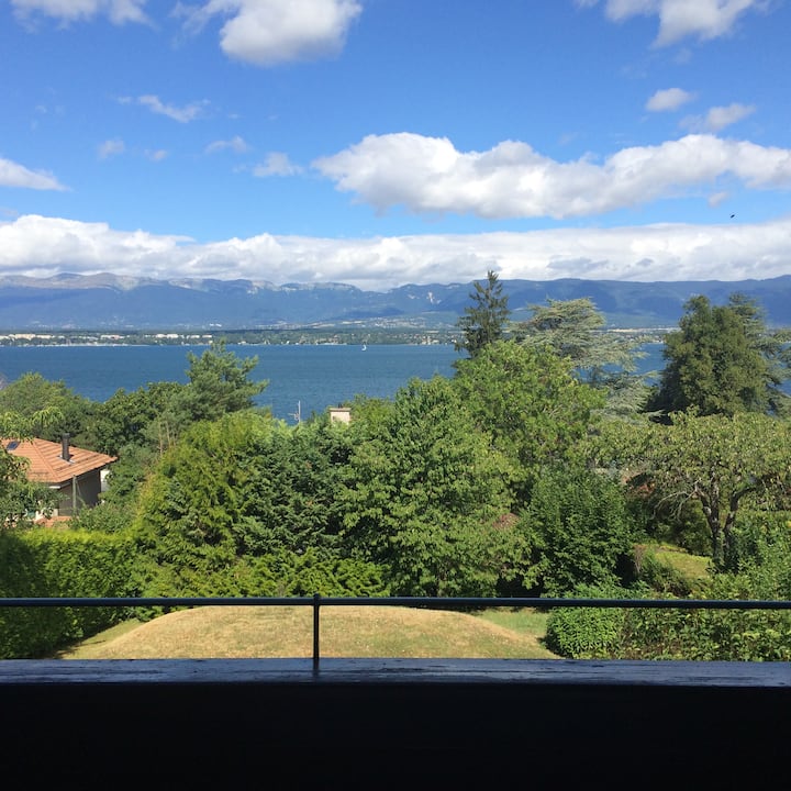 Stunning Lake View 4-room Flat In Old Country Farm - Versoix