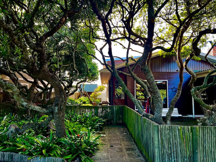 Under The Milkwoods - Pearly Beach