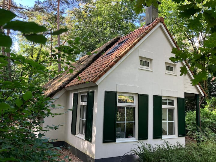 Sfeervol Huisje Midden In De Natuur - Meppel