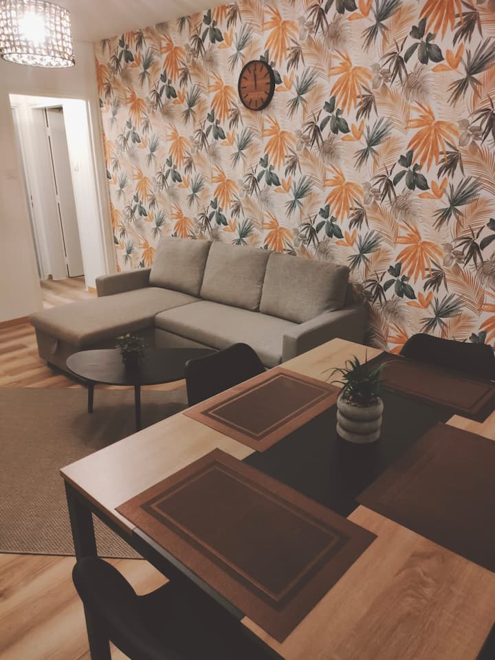 Carl'apartment4 Professionnel Famille Wifi Parking - Saint-Avold