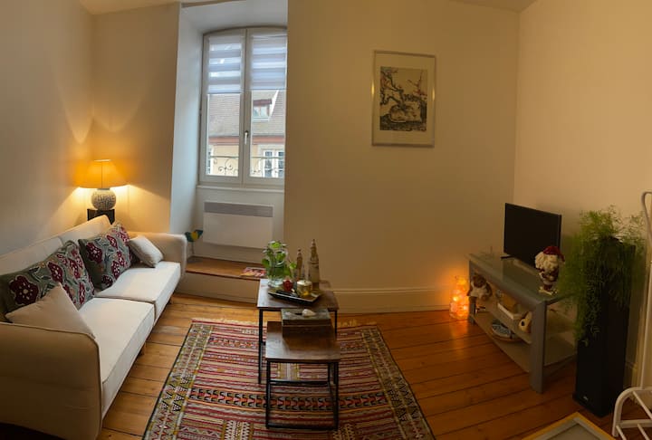 Hyper Centre
F1 Ap 
Au Cœur Du Centre Ville Colmar - Colmar